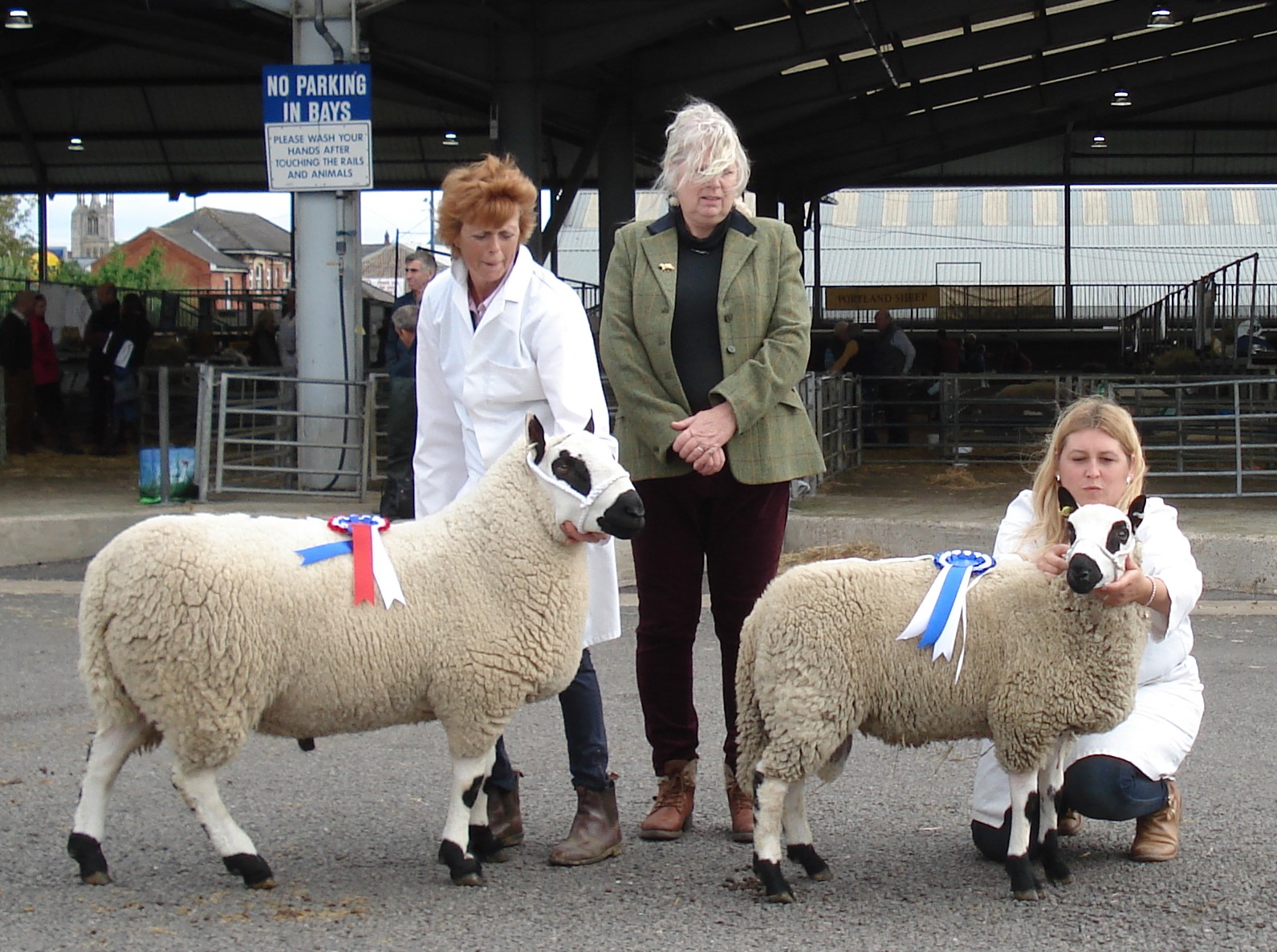 Cardington Ewe top at Melton Mowbray – Kerry Hill Sheep Society
